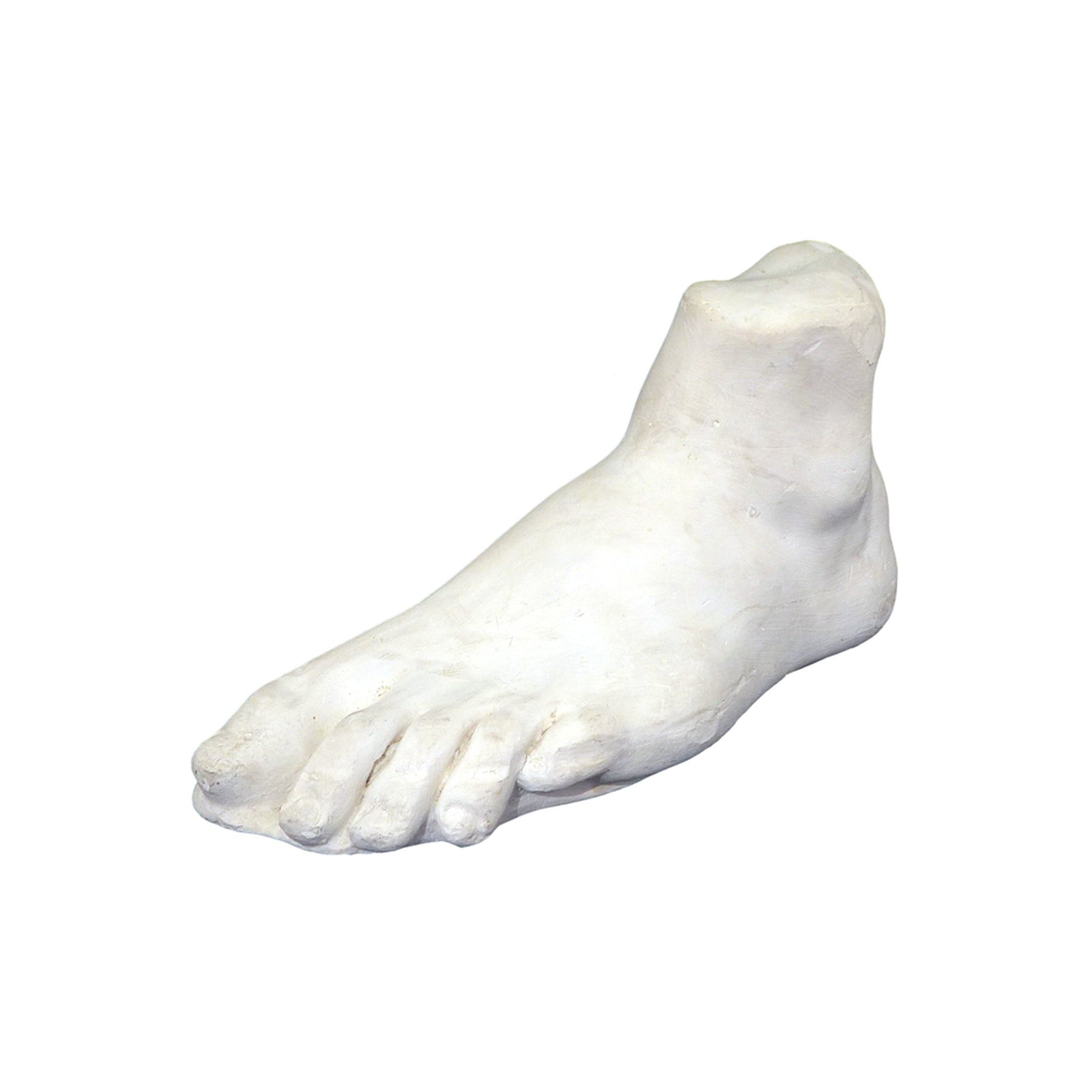 Cast Plaster Foot – The Window