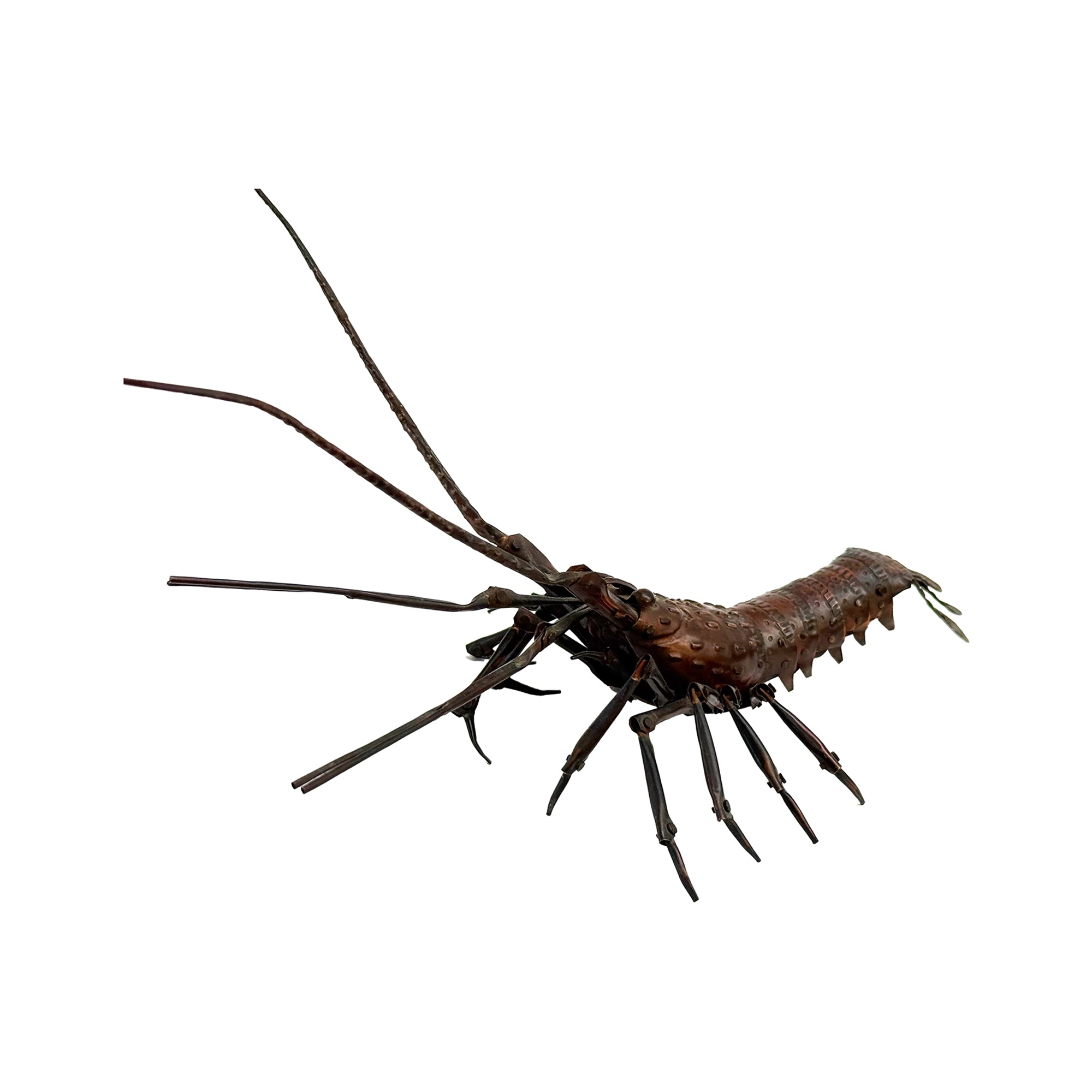 Japanese Copper Articulated Spiny Lobster – The Window