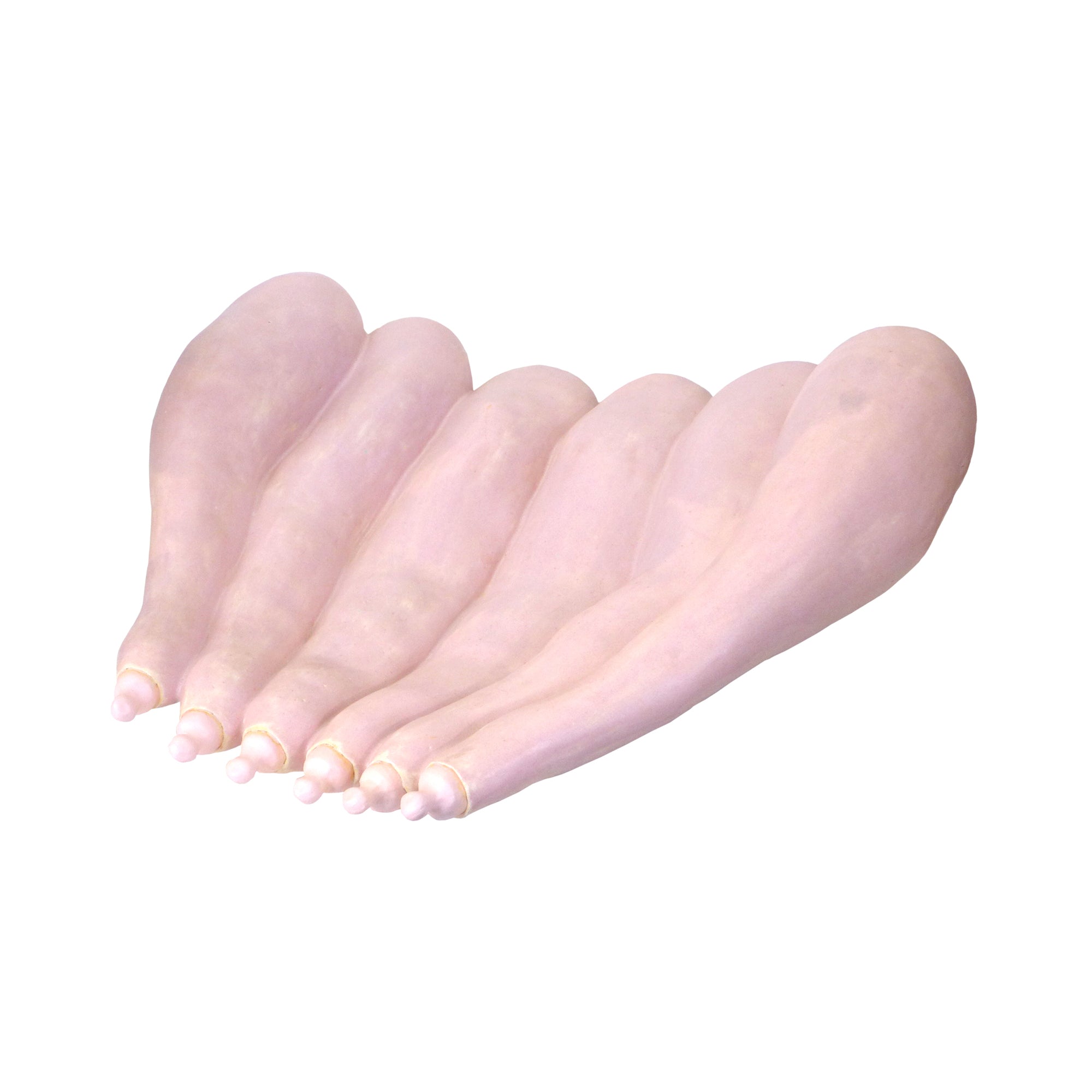 Biomorphic Ceramic Sculpture – The Window